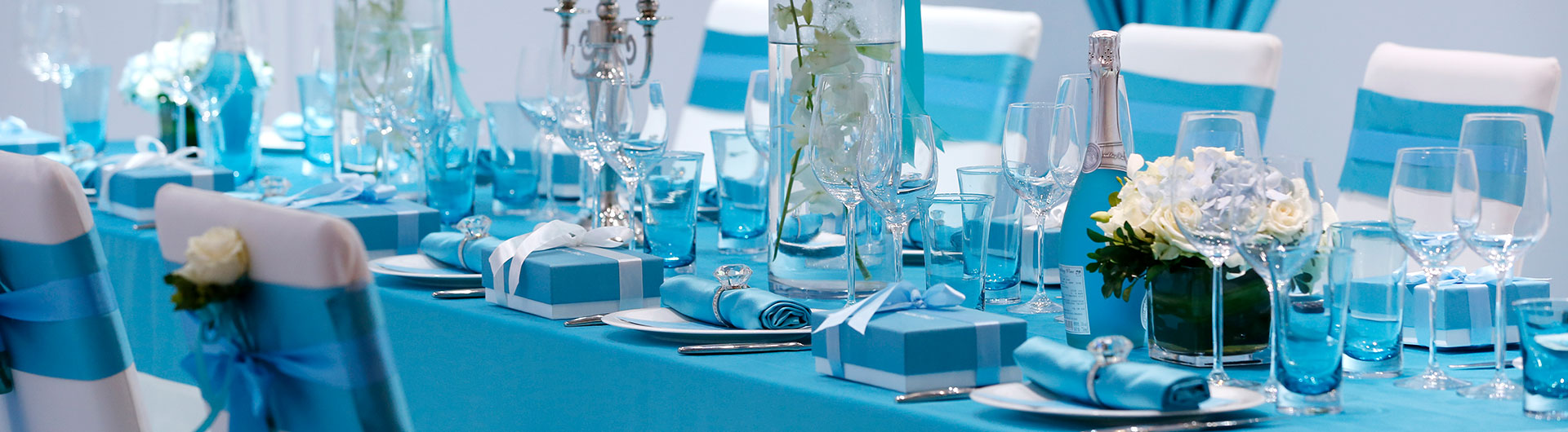 Banquet Linen Wholesale & Banquet Tablecloths Wholesale | ELIYA Linen