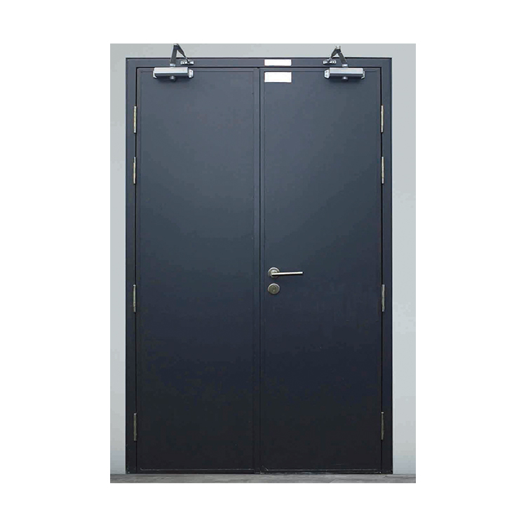 Fire Fighting Access Metal Doors Interior Double Leaf Custom 90 Minute ...