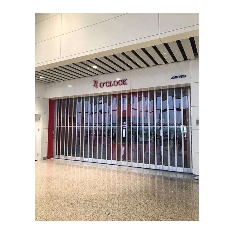 Translucent Polycarbonate Bifold Door Customized Clear Glazing or ...