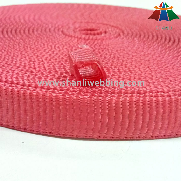 1 Inch Tubular Nylon Webbing