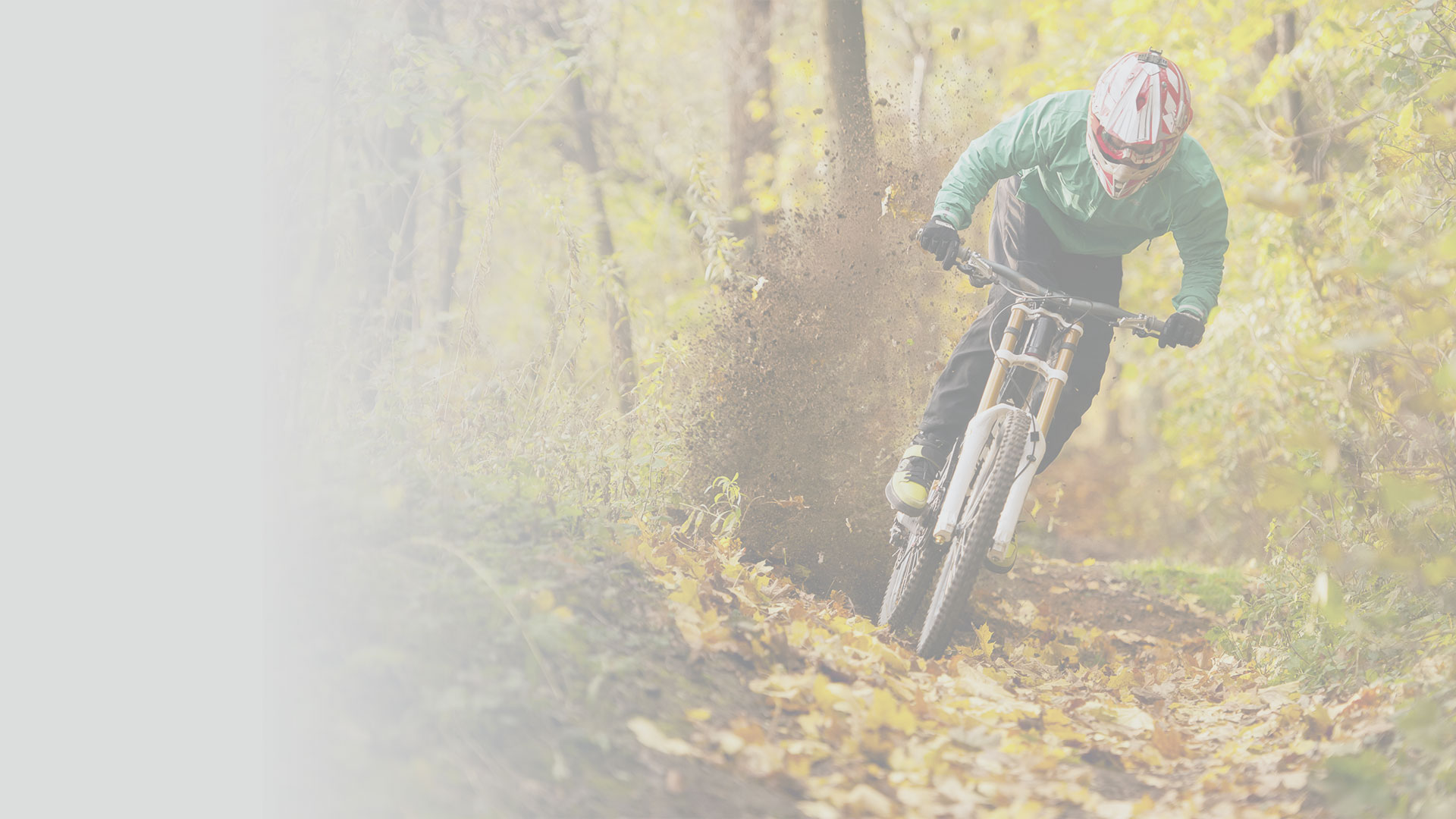 Meetion | The Perfect Gaming Accessories Supplier For Gaming Mouse ...