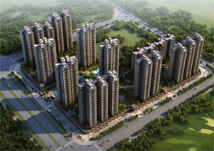 Entry Door Project Case of Qinzhou Tianhe Mansion Project Phase I