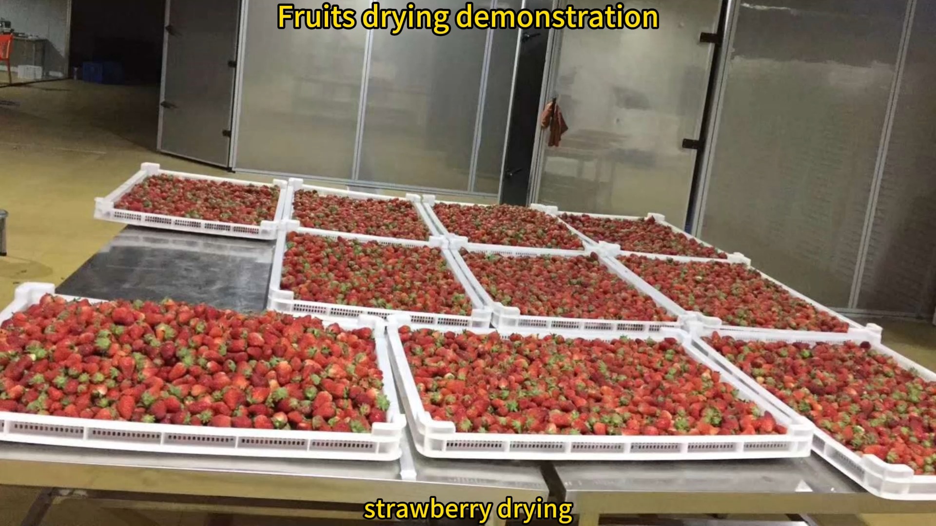 Heat Pump Fruit Dryer Manufacturers & Suppliers, Factory | Jimu