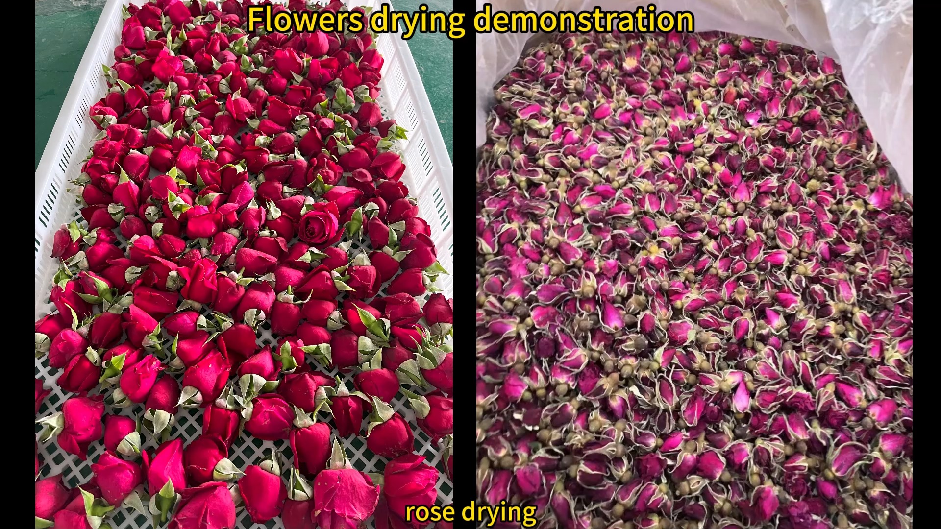 Heat Pump Flower Drying Machine Manufacturers & Suppliers | Jimu