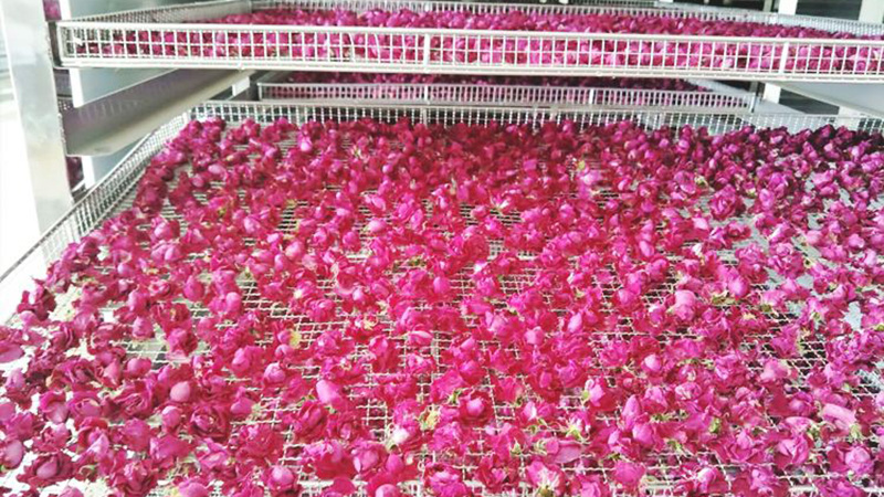 Heat Pump Flower Drying Machine Manufacturers & Suppliers | Jimu