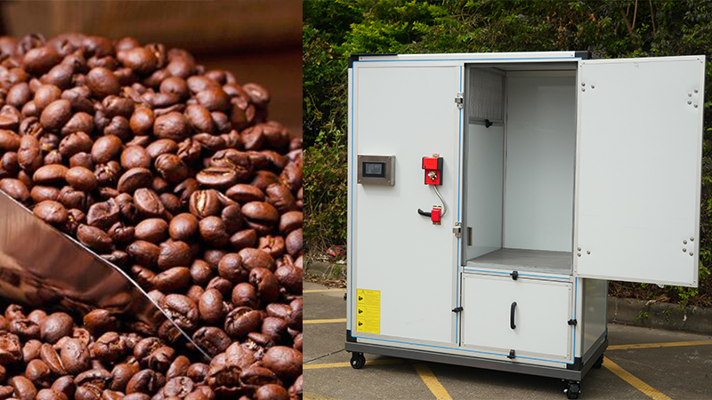 The Ultimate Guide to Efficient Cocoa Beans Drying: Unveiling the Best ...