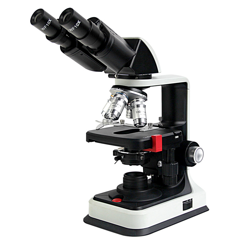 Exploring the Invisible: the Best Biological Microscopes for Your Lab ...