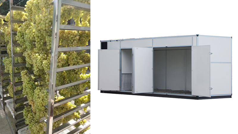 Grape Drying Machine - Jimu