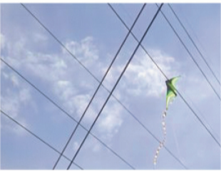 Shop Laser Cannon, Laser To Cut Tree Branches On Usiland Optronics