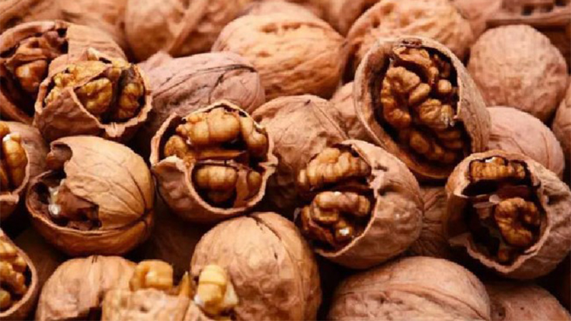 Walnut Drying Machine - Jimu