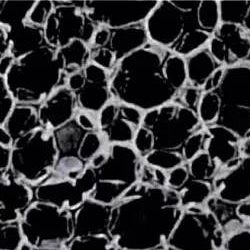 Formation of Polyurethane Foam - Sabtech