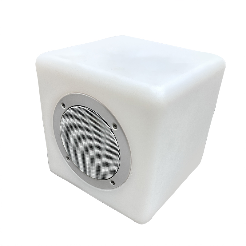 Rotomolding Process Plastic Speaker Shell Impact Resistant | Boguan