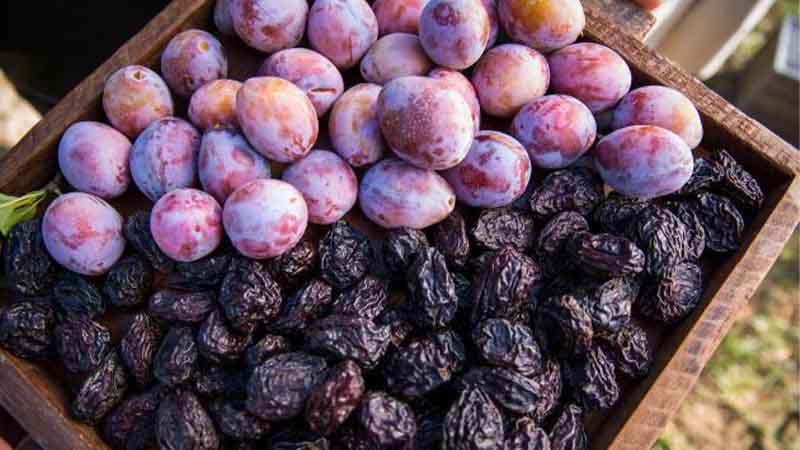 Prune Dryer Machine - Jimu