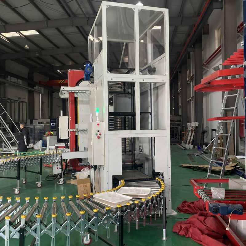 Case Lift Conveyor Vertical Sorting Solutions Continuous Vertical ...