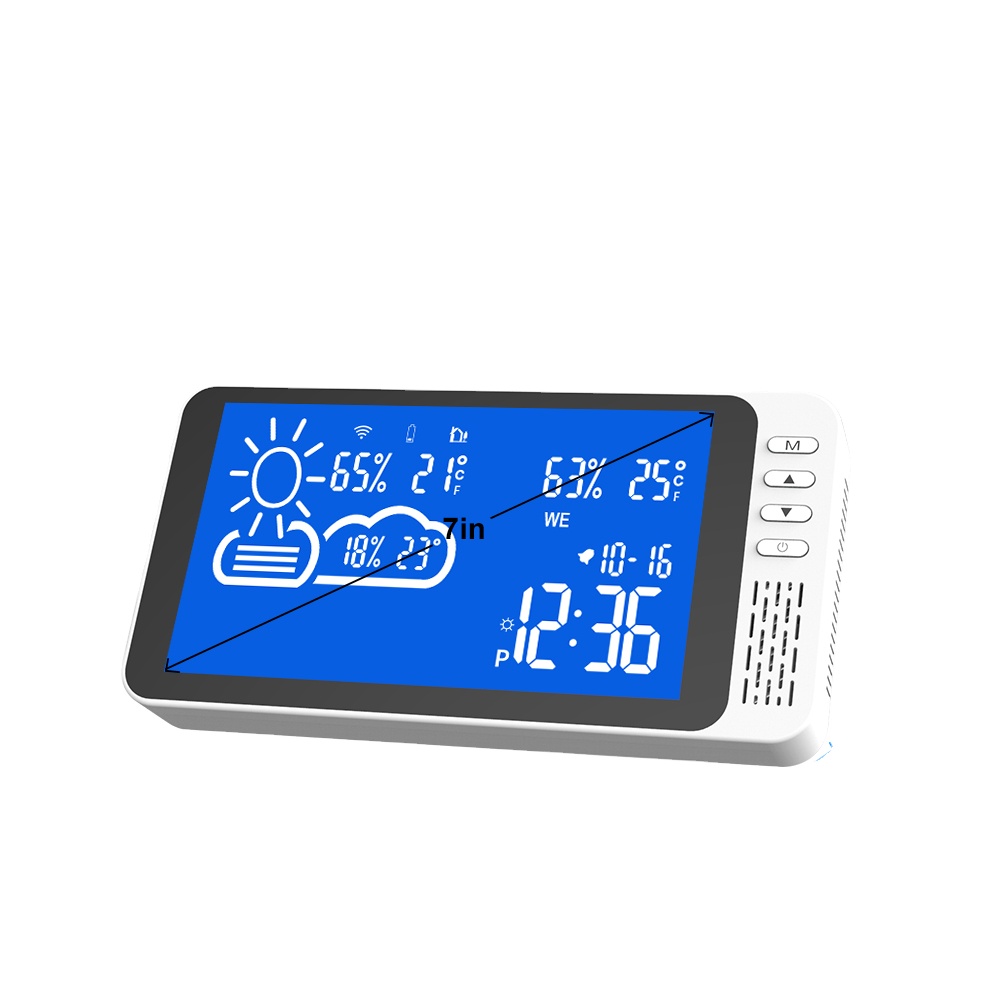 Dienmern DM132C High precision temperature and humidity detector: real ...