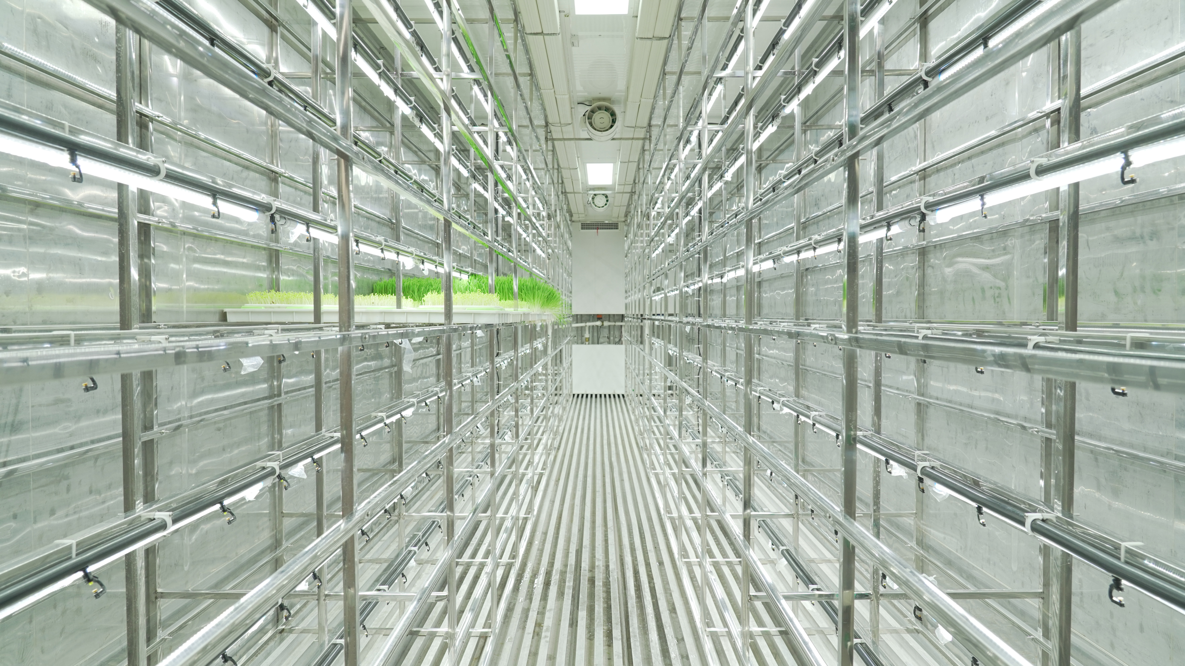 Hydroponic Fodder Container System – High-Yield Livestock Feed Solution ...