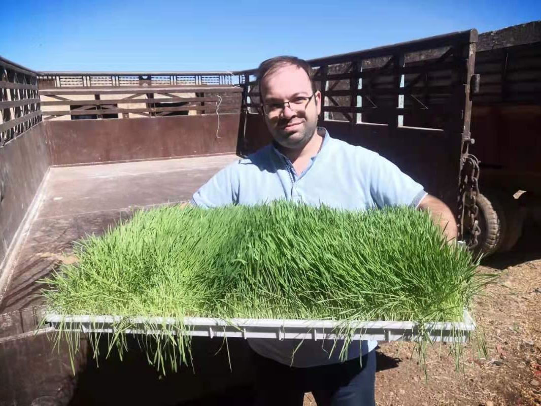 Hydroponic Fodder Container Farming - Lyine