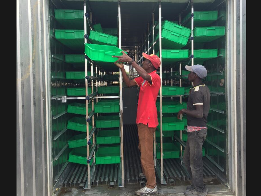 Hydroponic Fodder Container Farming - Lyine
