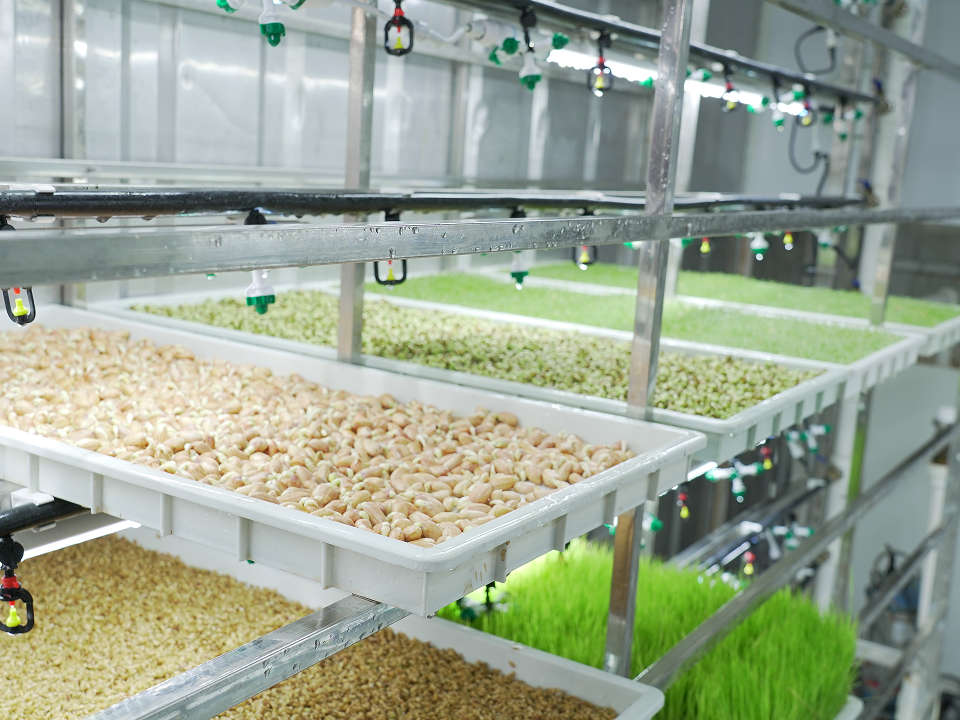 Hydroponic Fodder Container Farming - Lyine