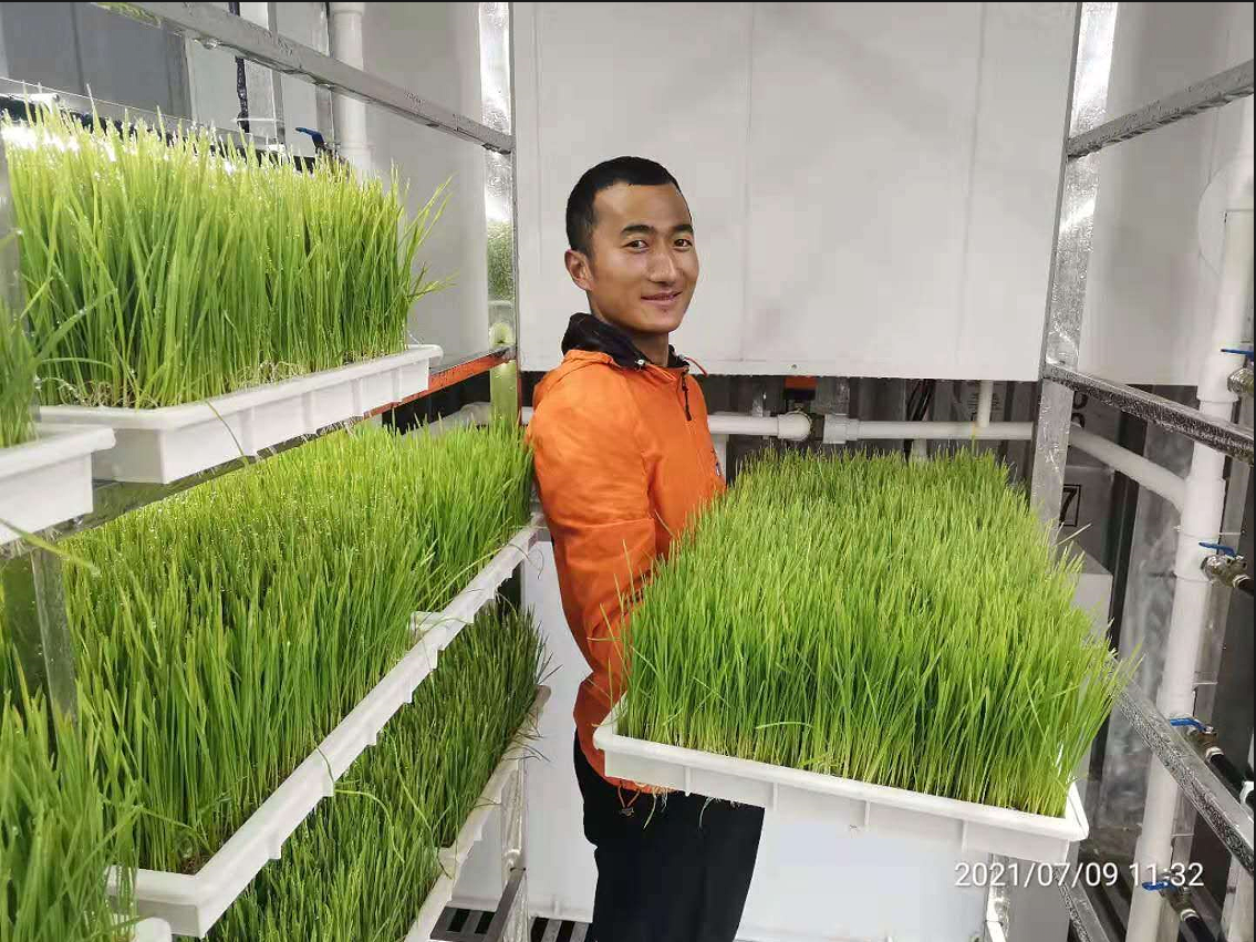 Hydroponic Fodder Container System – High-Yield Livestock Feed Solution ...