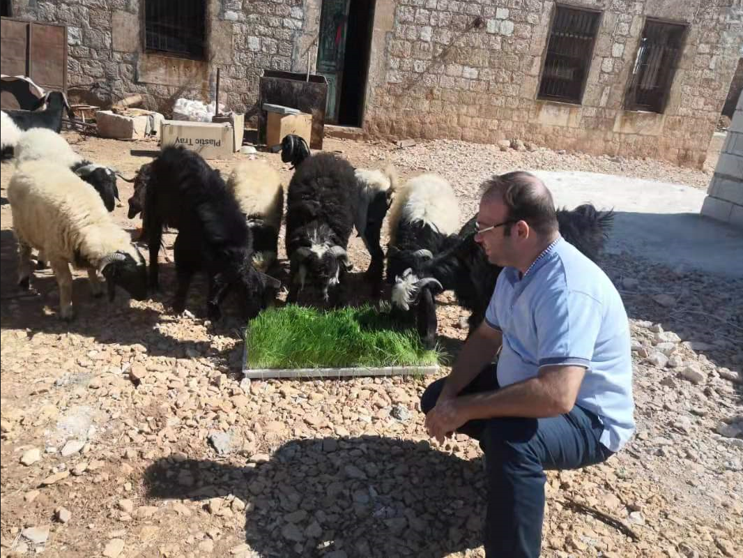 Hydroponic Fodder Container Farming - Lyine