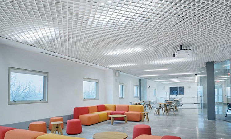 Ceiling Grey: Why It’s the Perfect Choice for Modern Designs?