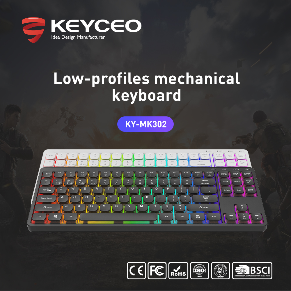 How to Pick the Right Standard Mechanical Keyboard