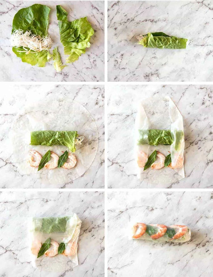 Spring Roll Wrapper Making Machine - STABAKE