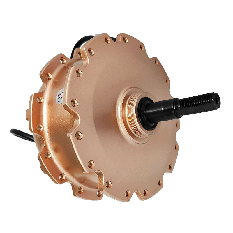 Electric Self Rotating Flywheel Motor 36V 250W Flower Shaped | Keling Power