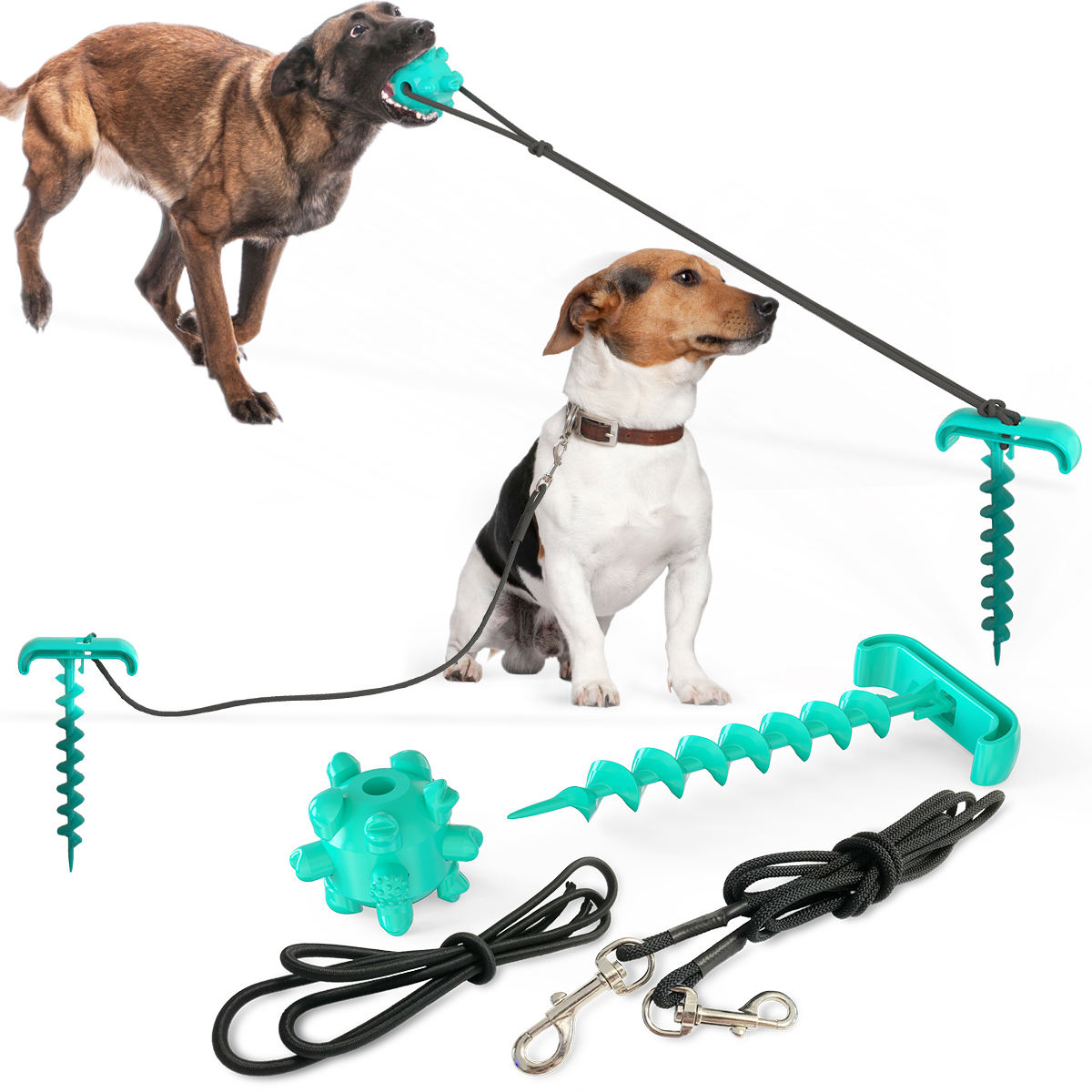Outdoor Leash Stake Ground Spike Ground Training Dog Rally Leash Tow ...