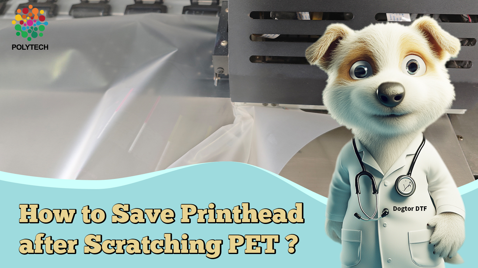 What Causes the Print Head to Scratch PET During Printing, and How to ...
