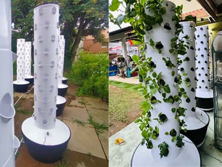 Philippine Hydroponc Tower System - Lyine