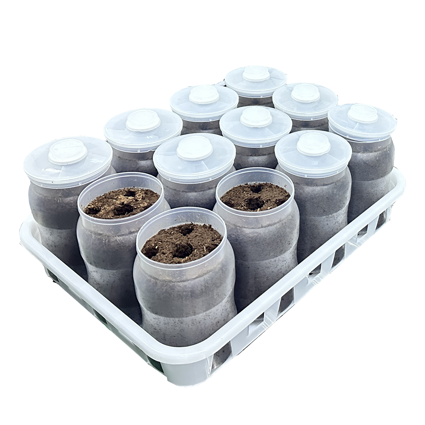 Mushroom Growing Bottle | JOCONN