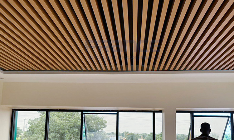 Comprehensive Guide to Suspended Ceilings in Modern Architecture - Prance