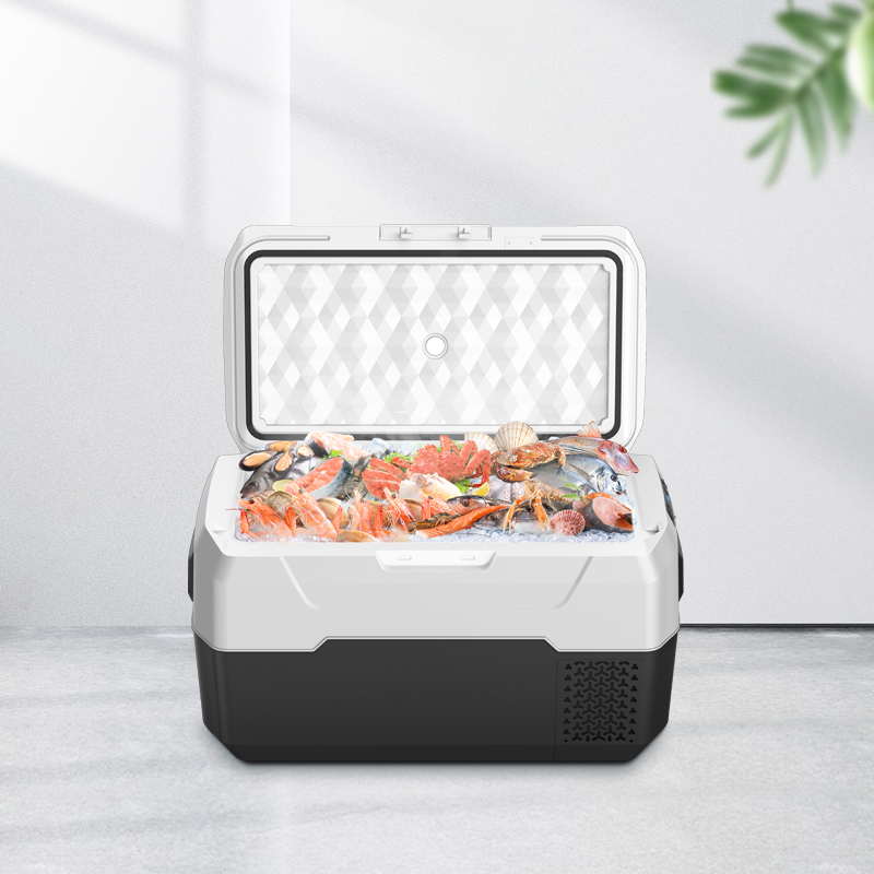 AXR20 Portable Compressor Refrigerator for Efficient Cooling - Libi Ang