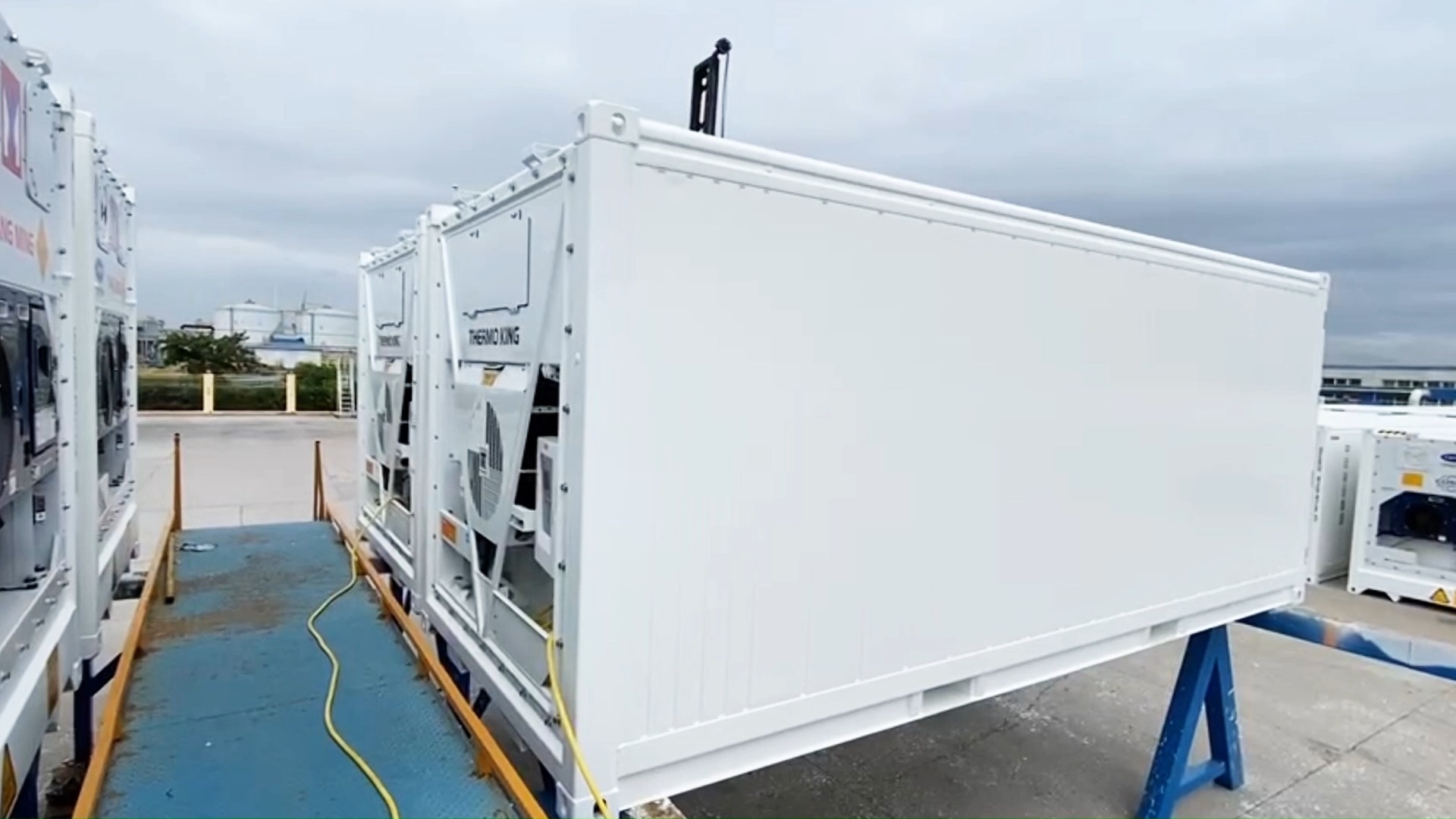 Experience the Power of Freshness with Our 20ft Reefer Container - ACE ...