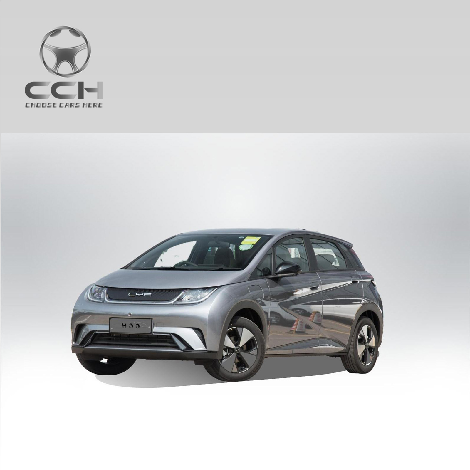 BYD Dolphin 2025 with Knight Edition 520KM New Energy Pure Electric 5 ...