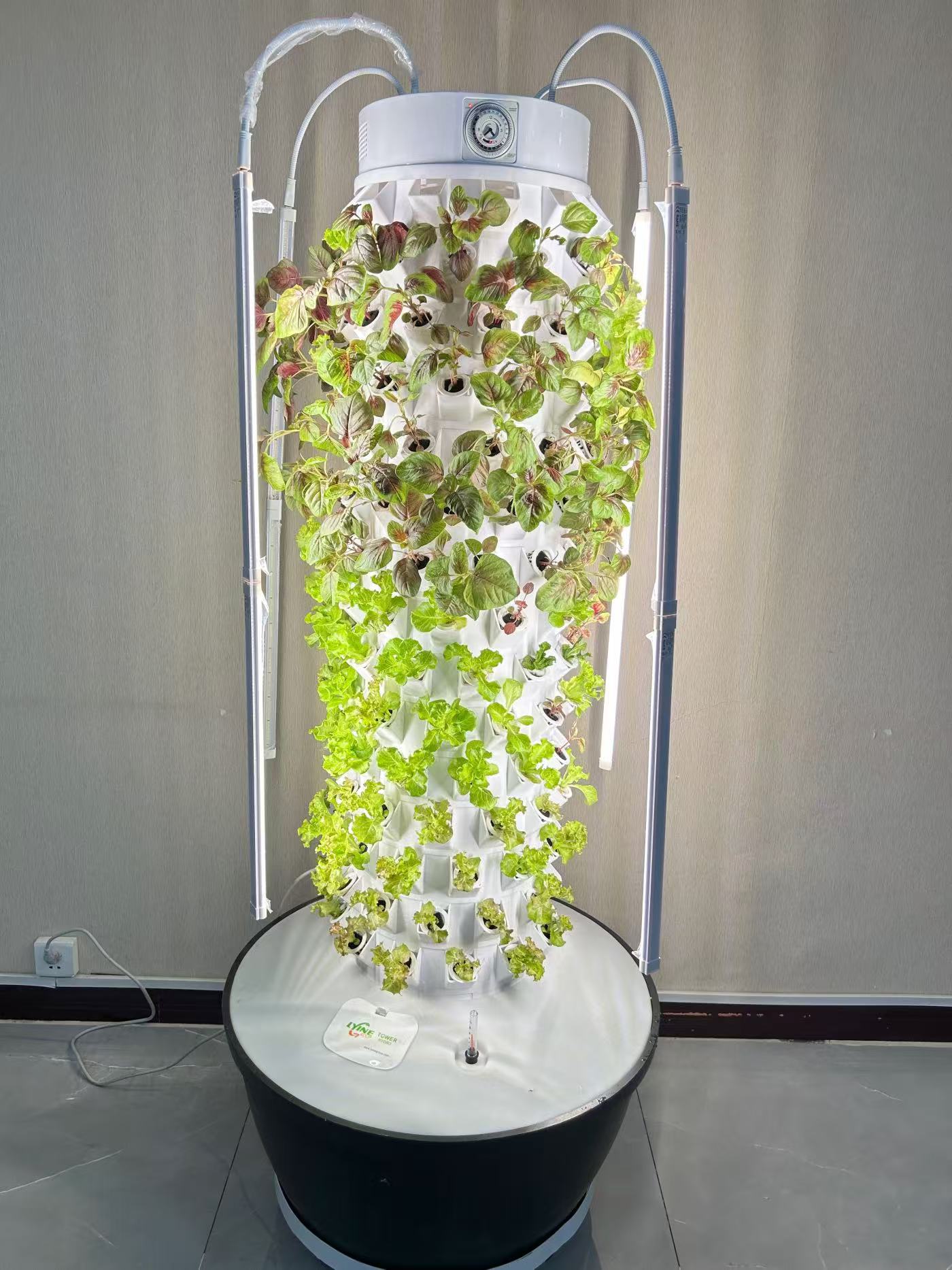 Belgium Customer Grows Vegetables at Home Using Hydroponic Towers | Lyine
