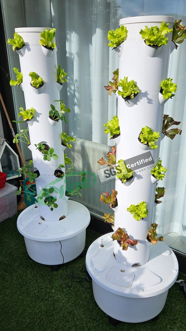 Hydroponic Tower Planted on the Terrace in Mauritius | Lyine