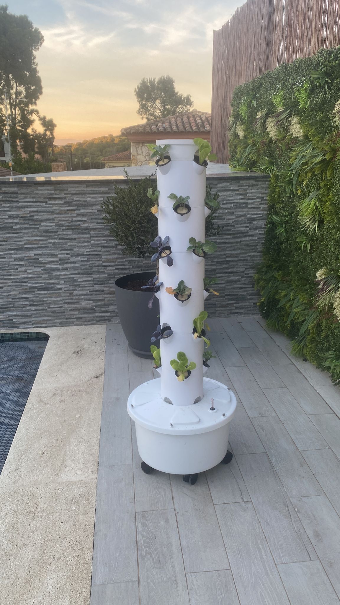 Commercial Tower Garden Aeroponics System Farm Coming to El Salvador ...