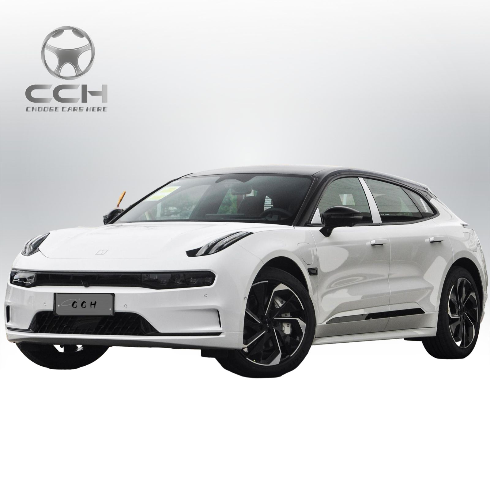 Zeekr 001 2025 with Geely Zeekr Luxury Sedan High Speed New Energy Cars ...