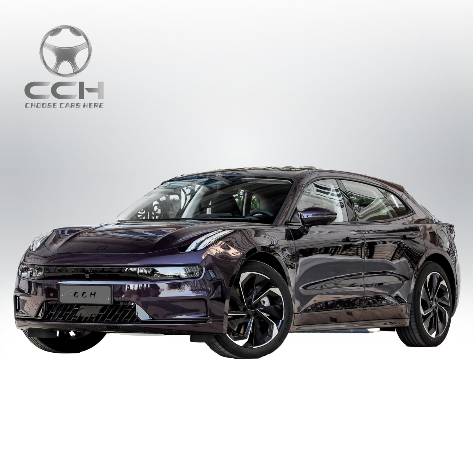 Zeekr 001 2025 with YOU Version 100kWh 4WD Long Range Geely Zeekr Luxury Sedan High Speed New ...