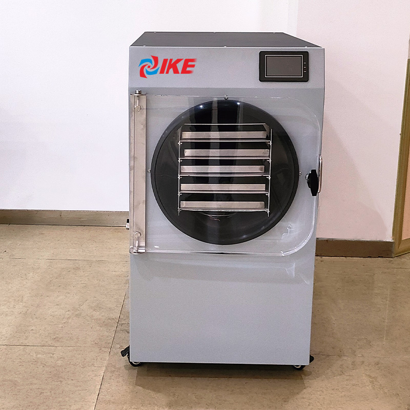 FVD-H6 All-in-One Portable Food Freeze Dryer Machine for Laboratory and ...