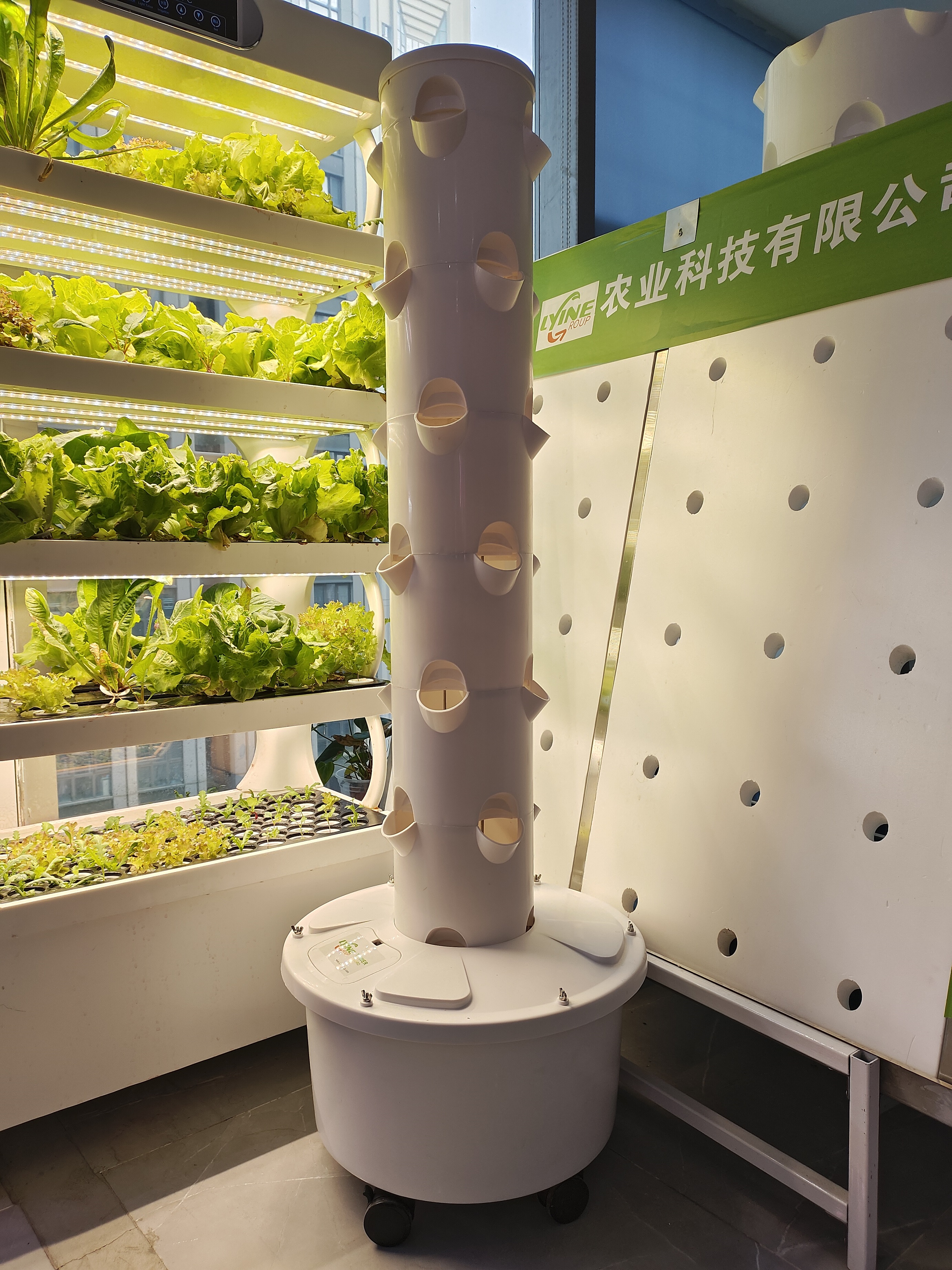 أوامر عميل نيوزيلندا 4P6 برج مائي لإعادة البيع | ليين