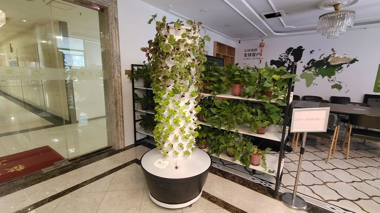 Outdoor Growing Vertical Hydroponic System Towers in Spain | Lyine