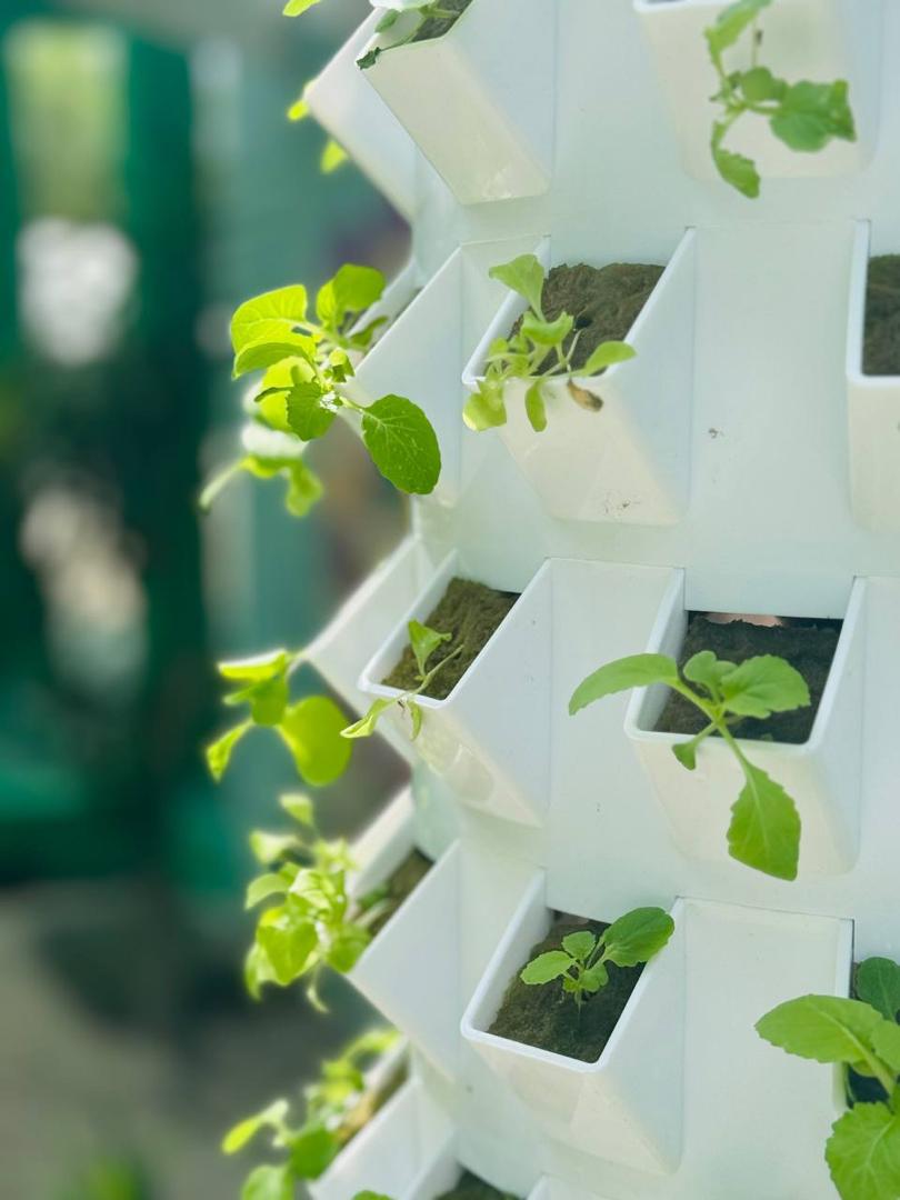 Maldives 12p15 Tower Garden Vertical Hydroponic System | Lyine