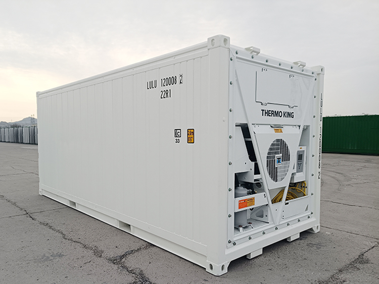 The Most Popular Container - 20 Feet Reefer Container | ACE Container