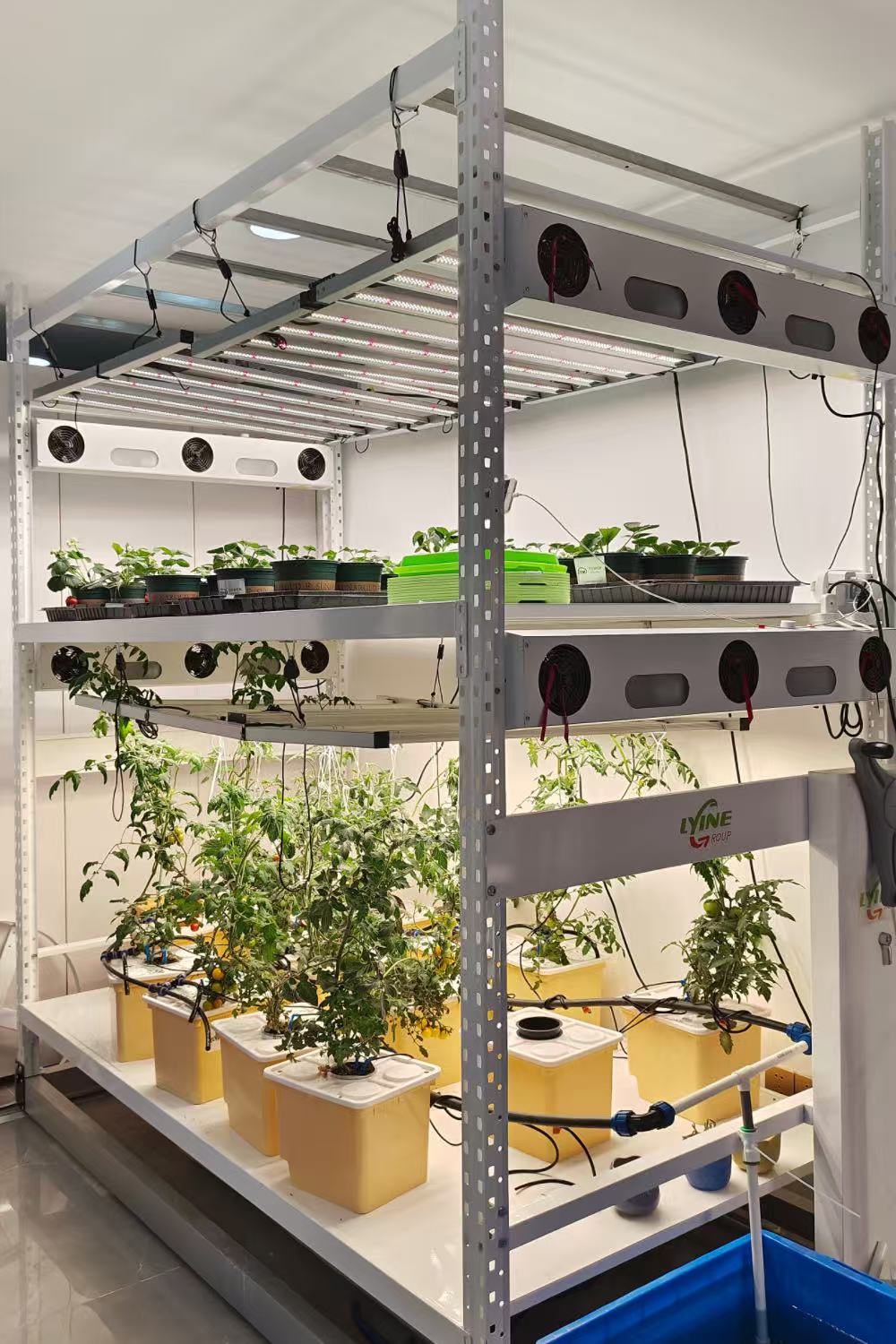 Seychelles Customer Using NFT System and Microgreen System for Farming ...