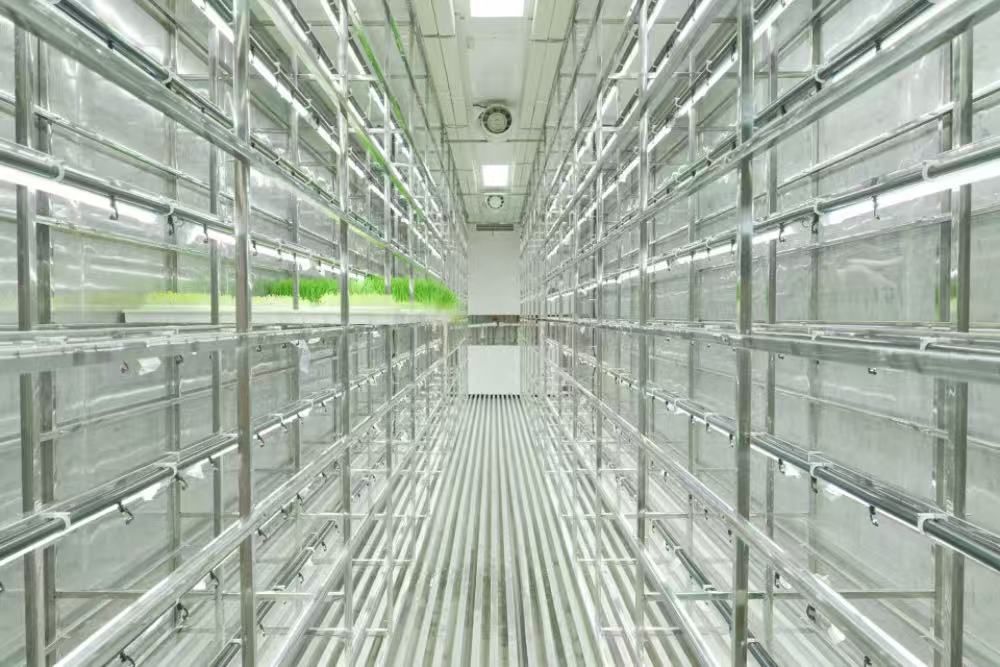 Hydroponic Fodder Container System – High-Yield Livestock Feed Solution ...