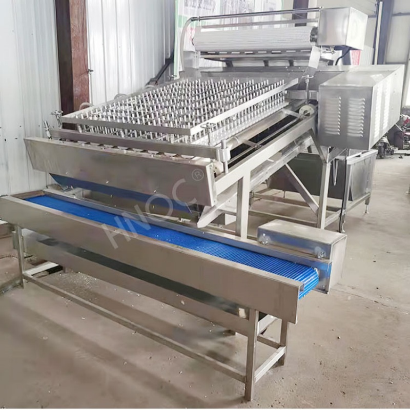 Fast & Accurate 80/150/300kg Per Hour Shrimp Peeling for Seafood ...